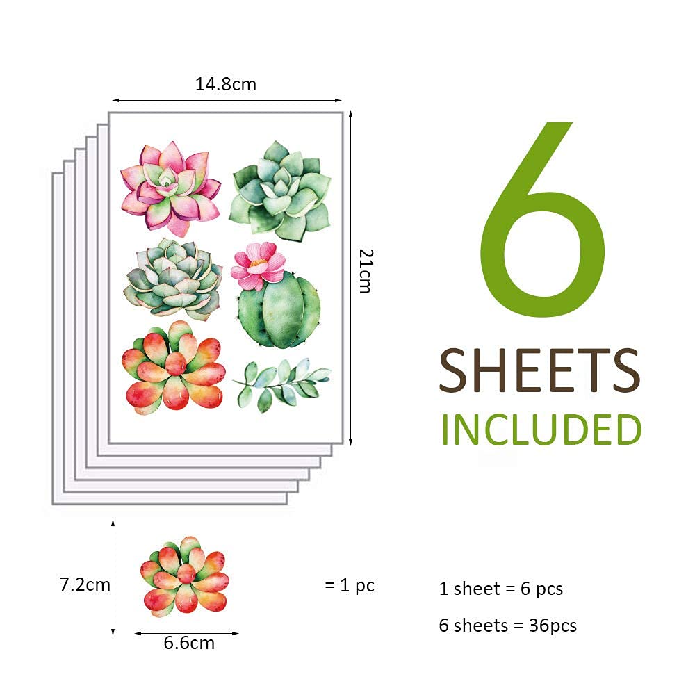 CozyDecor 36 Pcs Succulent Decals for Wall, Succulents Classroom Decorations for Teachers Bulletin Board,Succulent Theme Classroom Decor A655