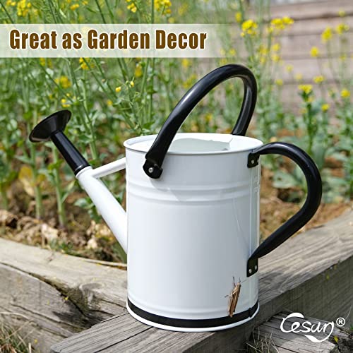 Cesun 1 Gallon Galvanized Metal Watering Can for Outdoor Plants (White and Black) โ Decorative Farmhouse Style Watering Pot with Removable Spout - Perfect for Outdoor Use