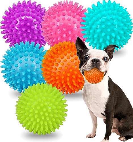 2.5" Squeaky Dog Balls for Small Medium Dogs, 6 Pack Small Dog Chew Toys with Spike, Puppy Toys for Teeth Cleaning and Training