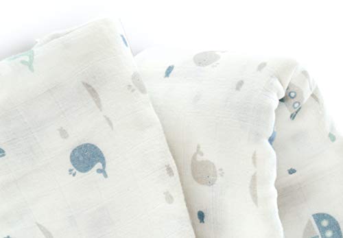 Cotton Organics Muslin Swaddle Blanket, Extra Soft and Hypoallergenic Organic Cotton, Gift Box (Blue)