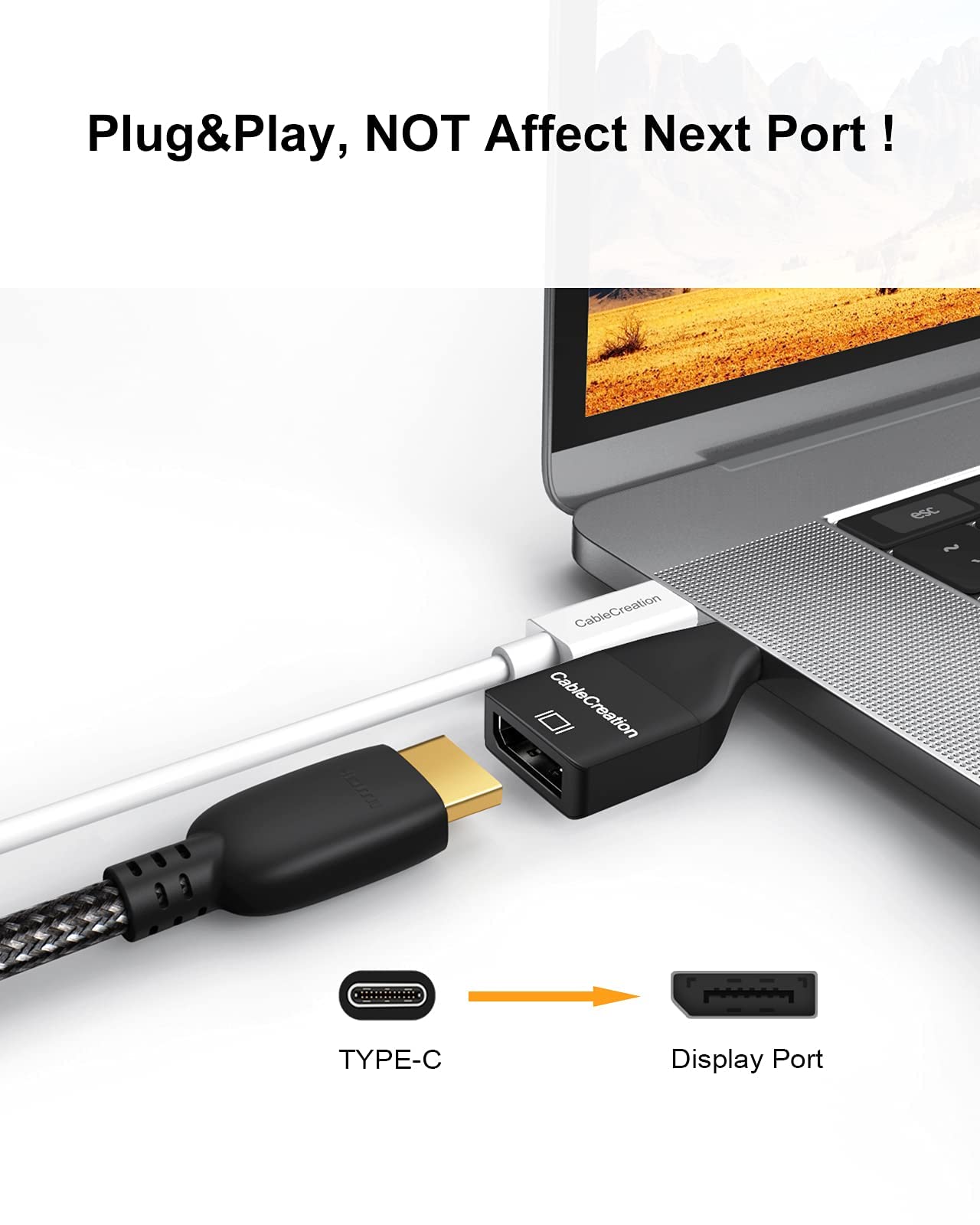 CableCreation USB C to DisplayPort Adapter 4K@60Hz, Male Type C to Female DisplayPort Adapter Compatible with iPhone 16 15 Pro/Promax/Plus, MacBook Pro Air, Steam Deck, iPad Pro, iMac, XPS, Galaxy