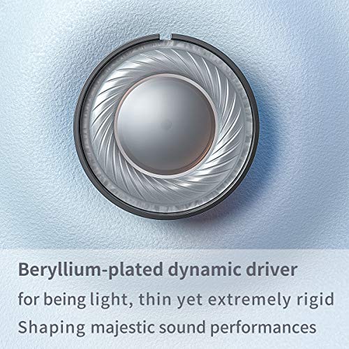 FiiO FD1 Hi-Res Earphone Wired,Beryllium-Plated 1DD,4-Stranded High-Purity Monocrystalline Copper, 0.78pin,Strong Bass (Without Mic,Black)