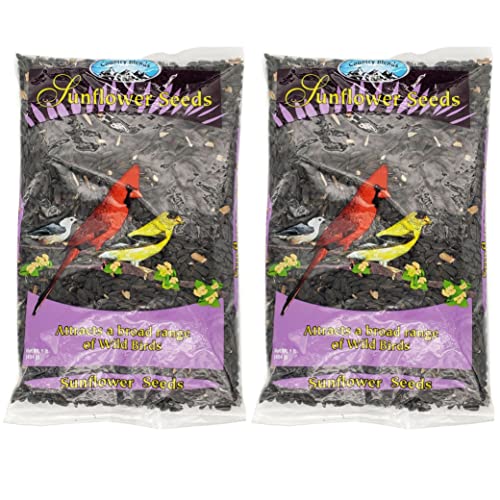 2 Bags Wild Bird Black Oil Sunflower Seeds Food Protein Nutrition Attract Birds, Variable