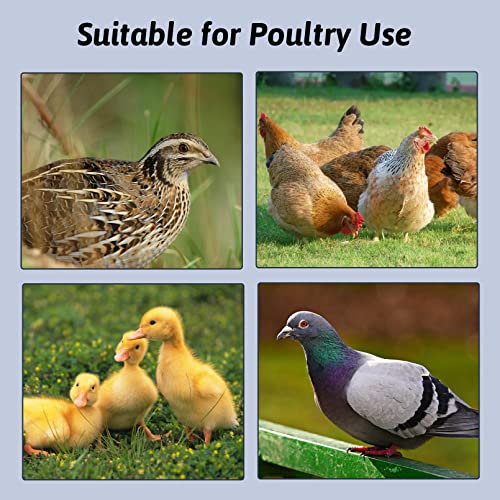 2PCS Pigeon Feeder, Bird Dispenser Slot Container, Poultry Plastic Thick Trough Dish Less Waste with Removable Steel Wire Partition for Pigeons Quails Birds Chicks Ducklings