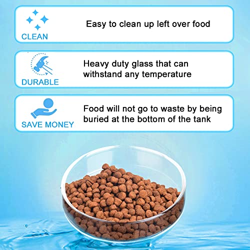 Dannisly Aquarium Glass Feeder Dish Shrimp Feeding Dish Round Clear Glass Fish Feeder Bowl Fish Tank Food Tray Container Prevent Food Spilling, 60mm