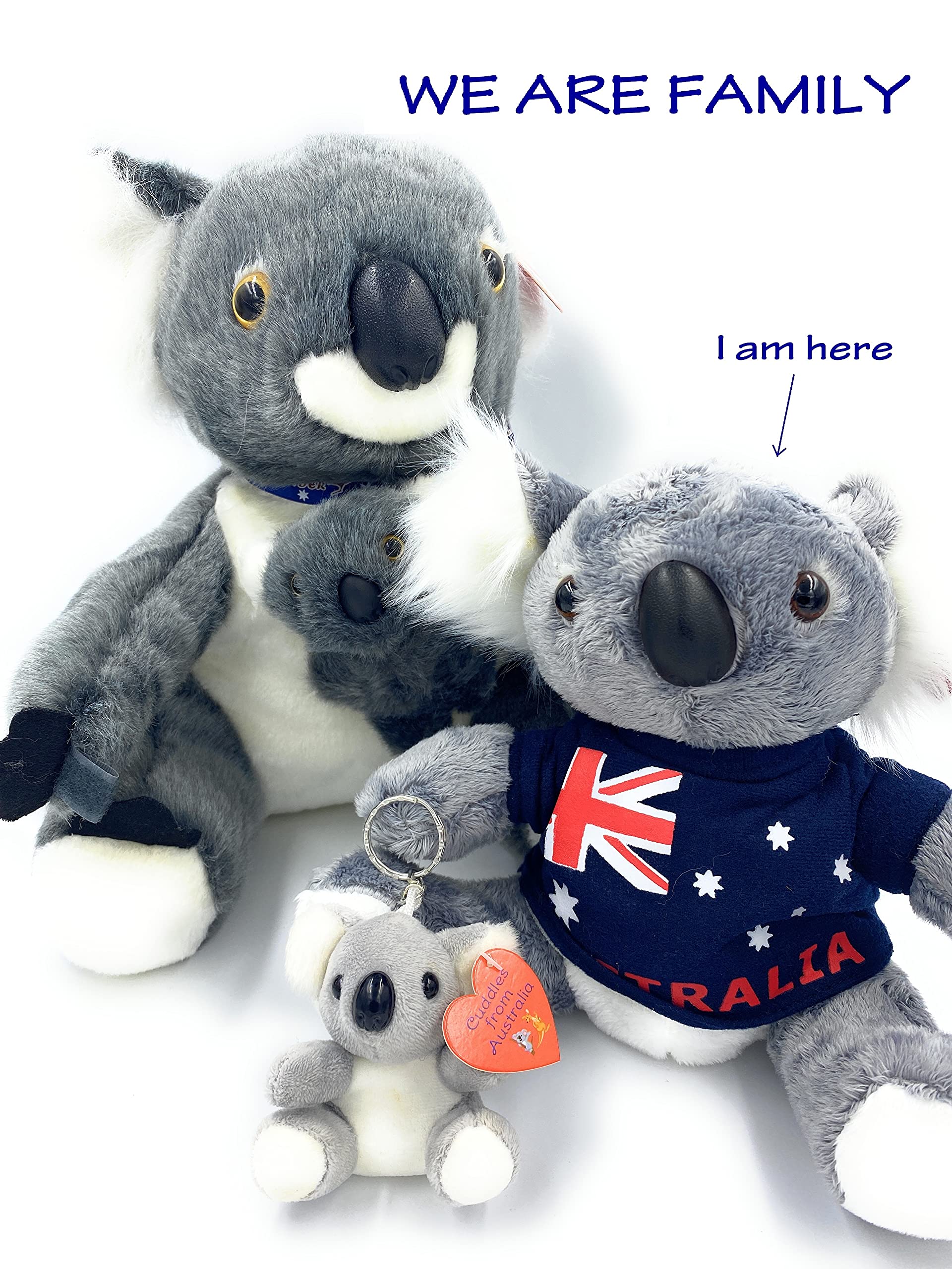 Aeisage Koala Stuffed Animal - 8 Inch Plush Koala Bear with T-Shirt, Super Soft Australian Souvenir Gift