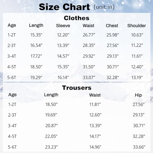 CARETOO Toddler Boys Girls Winter Down Coats Snowsuit Outerwear 2Pcs Clothes Hooded Jacket Snow Ski Bib Pants Outfits Set