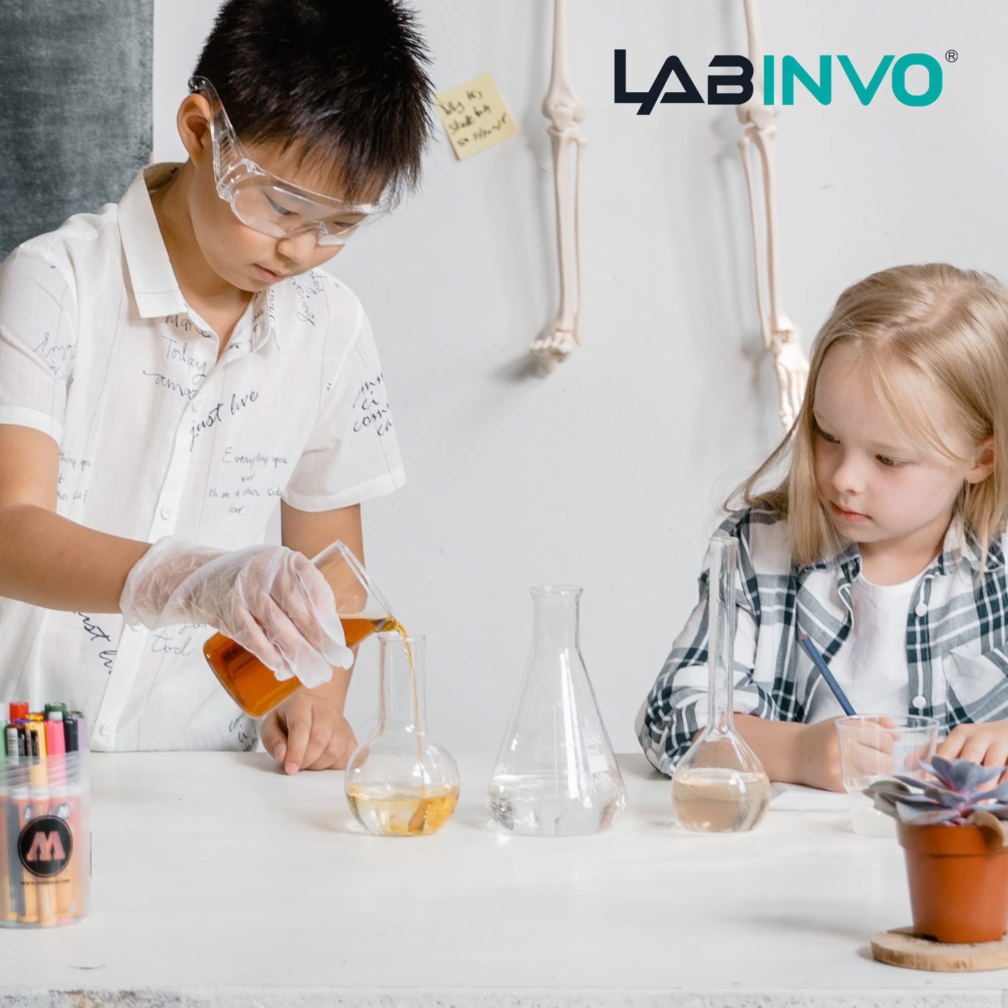 LABINVO Low Form Graduated Glass Beaker, 10pcs of Vol.150ml, 3.3 Borosilicate Glass Beaker Set, IN-BKL150