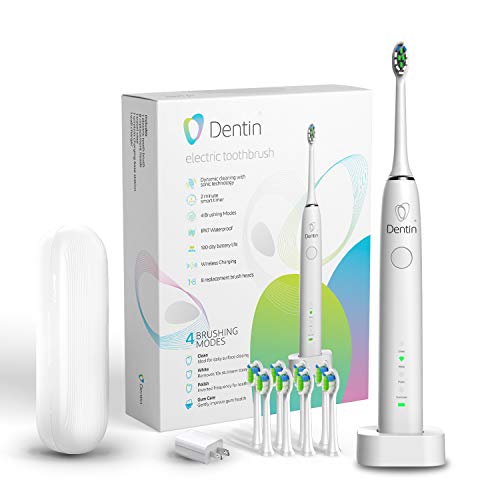 Dentin Sonic Electric Toothbrush with 8 Toothbrush Heads, 100 Day Battery Life, Rechargeable Battery, Travel case and Wall Charger Included… (White)