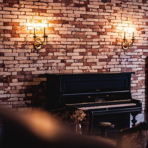 Amazon Basics 60W Equivalent, Clear, Daylight, Dimmable, 15,000 Hour Lifetime, B11 (E12 Candelabra Base) LED Light Bulb | 3-Pack