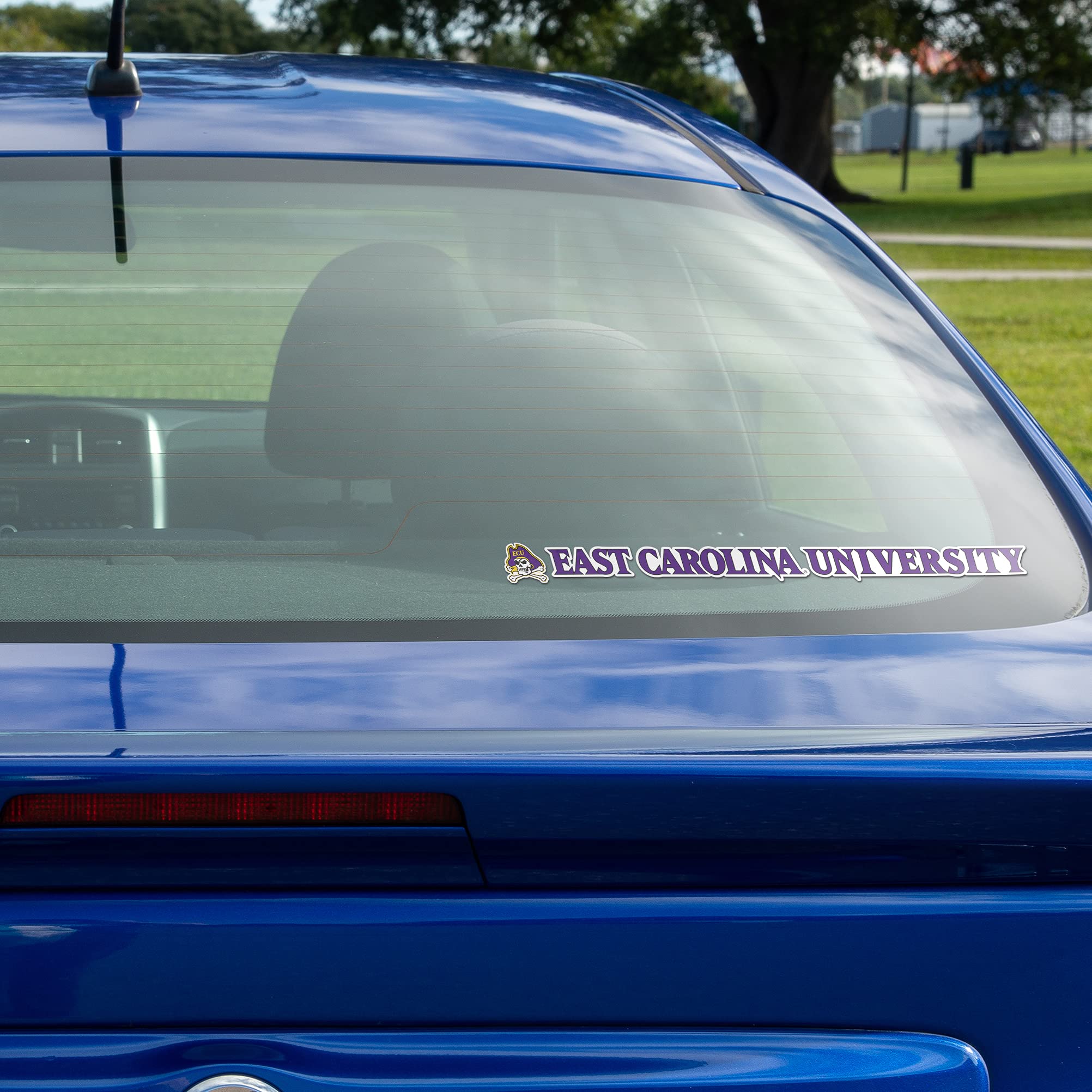 Desert Cactus East Carolina University Pirates ECU Name Logo Vinyl Decal Laptop Water Bottle Car Scrapbook (15 Inch Sticker)