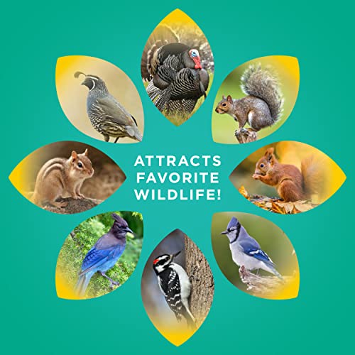 Audubon Park Critter Crunch Backyard Wildlife Food, Bird and Squirrel Food for Outside Feeder, 5-Pound Bag