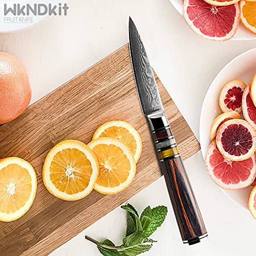 WKNDKIT Damascus VG-10 Stainless Steel Small 3.5 inch Paring knife japanese Kitchen knife with wood Handle, Super Sharp, Fancy Fruit and vegetable Knife