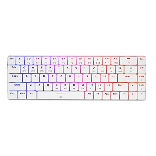 HUO JI 60% Compact RGB Wireless Mechanical Gaming Keyboard, Blue Switches, Bluetooth 5.0, Wired Keyboard 69 Keys for PC Tablet Laptop Cell Phone, White