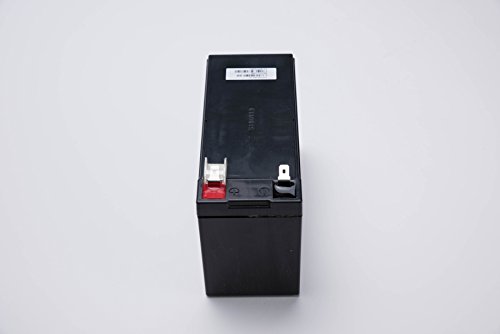 APC Worldwide Power Supply UPS Replacement Battery UPS Models BE650G, BE750G, BR700G, RBC17 (BATT17-1209)