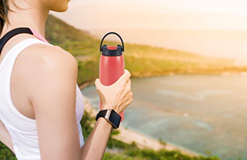 BUILT 20 Ounce Gramercy Double Wall Stainless Steel Bottle Living Coral 5253187