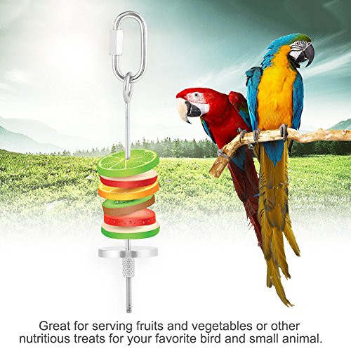Bird Fruit Holder, Stainless Steel Fruit Vegetable Food Stick Holder Small Animal Bird Toy(S)