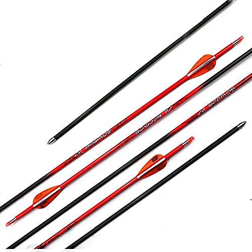 12 Pack Fletched Carbon Arrows ID 4.2mm 31" Shaft Spine 800 Archery Practice Target Hunting Arrow with Replaced Tip 80 Grain Broadheads Arrowhead for Compound Recurve Bow Orange