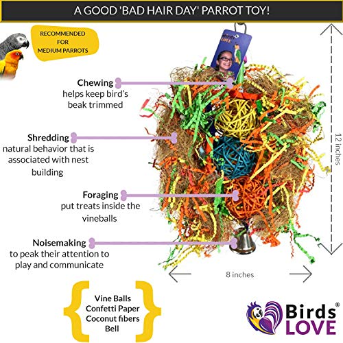 Birds LOVE Bad Hair Day Bird Toy for Medium Parrots, Preening Chewing Foraging Toy for Cage, African Grey Eclectus Cockatoos Amazons Mini Macaws