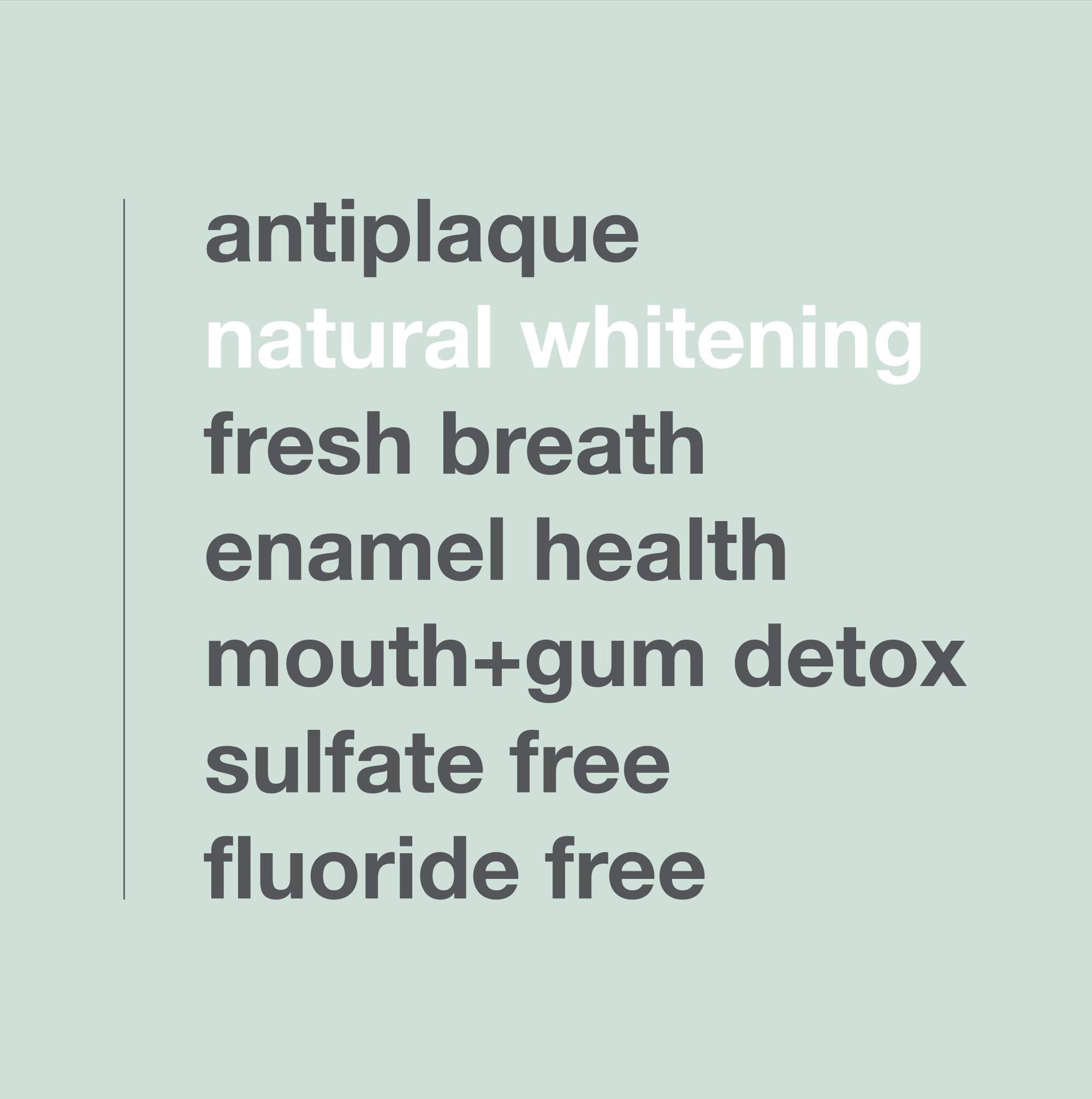 Davids Charcoal Toothpaste for Enhanced Teeth Whitening, Peppermint, Antiplaque, Flouride Free, SLS Free, Enamel Safe, Toothpaste Squeezer Included, Recyclable Metal Tube, 5.25oz