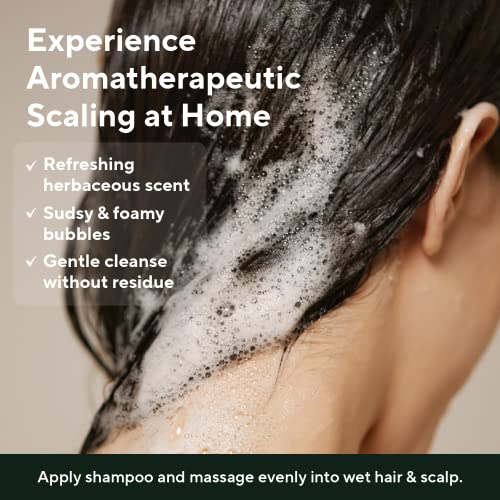 AROMATICA Cypress Deep Cleansing Shampoo 13.53fl.oz. / 400ml - Vegan, EWG Verified, Non-Irritating and Thoroughly Cleansing for Fuller, Thicker and Stronger Hair