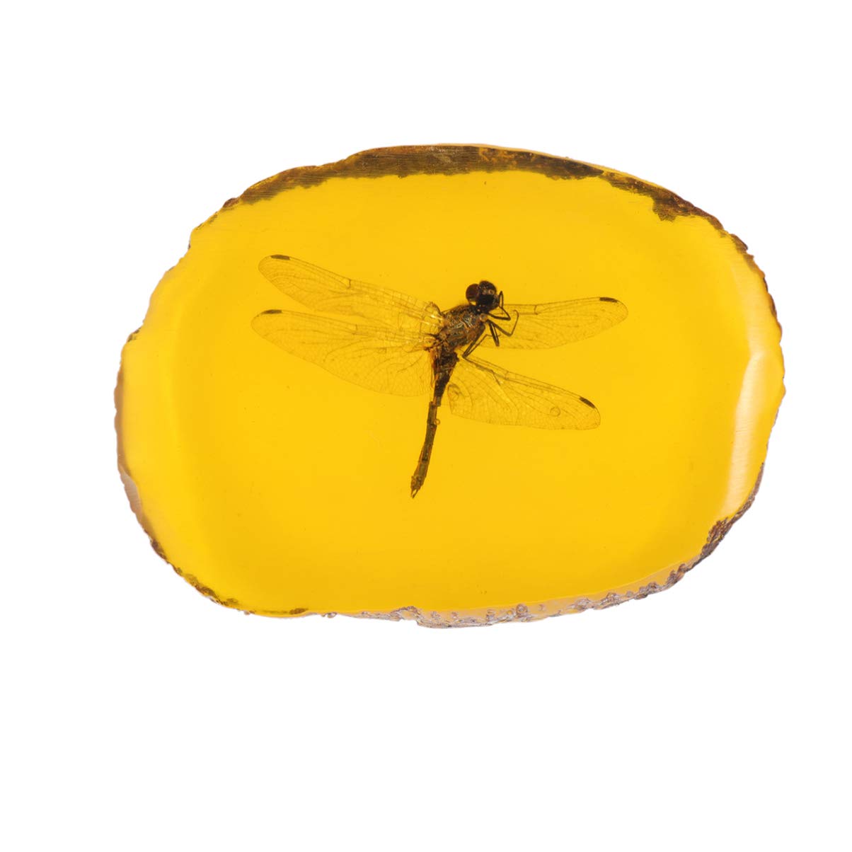 Amber,Artificial Amber Specimen Pendant Butterfly Scorpions Insects Amber Stone Ornament for Collection(Dragonfly)