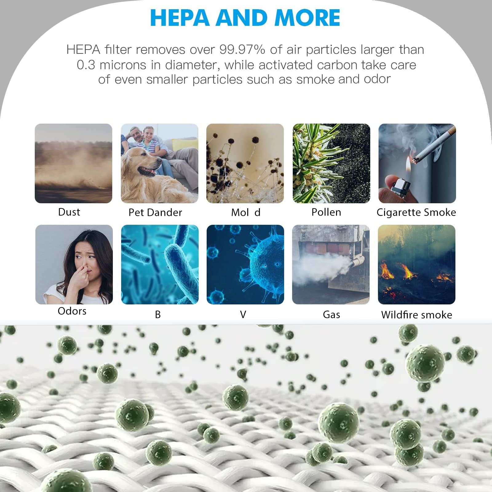 116130 True HEPA Replacement Filter H Compatible with Winix 5500-2 Air Purifier and Models AM80, True HEPA Filter only 2 Pack