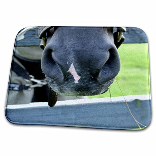 3dRose Susans Zoo Crew Animals Horse - horse muzzle with hay fence - Dish Drying Mats (ddm-162198-1)