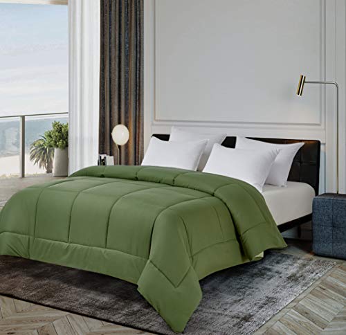 Blue Ridge Home Fashions Two-Tone Reversible Microfiber Down Alternative All Season Comforter-Hypoallergenic Polyester Fill, Twin, Olive/Sage