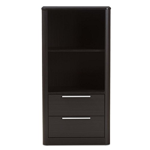 Baxton Studio Carlingford 2 Shelf Bookcase in Dark Brown
