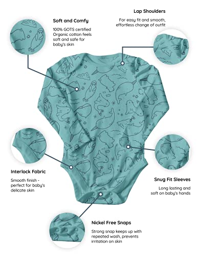 WINK & BLINk Artic Explorer Organic Baby Bodysuits, 4-Pack Long-Sleeve One-Pieces, 100% Organic Cotton 6M