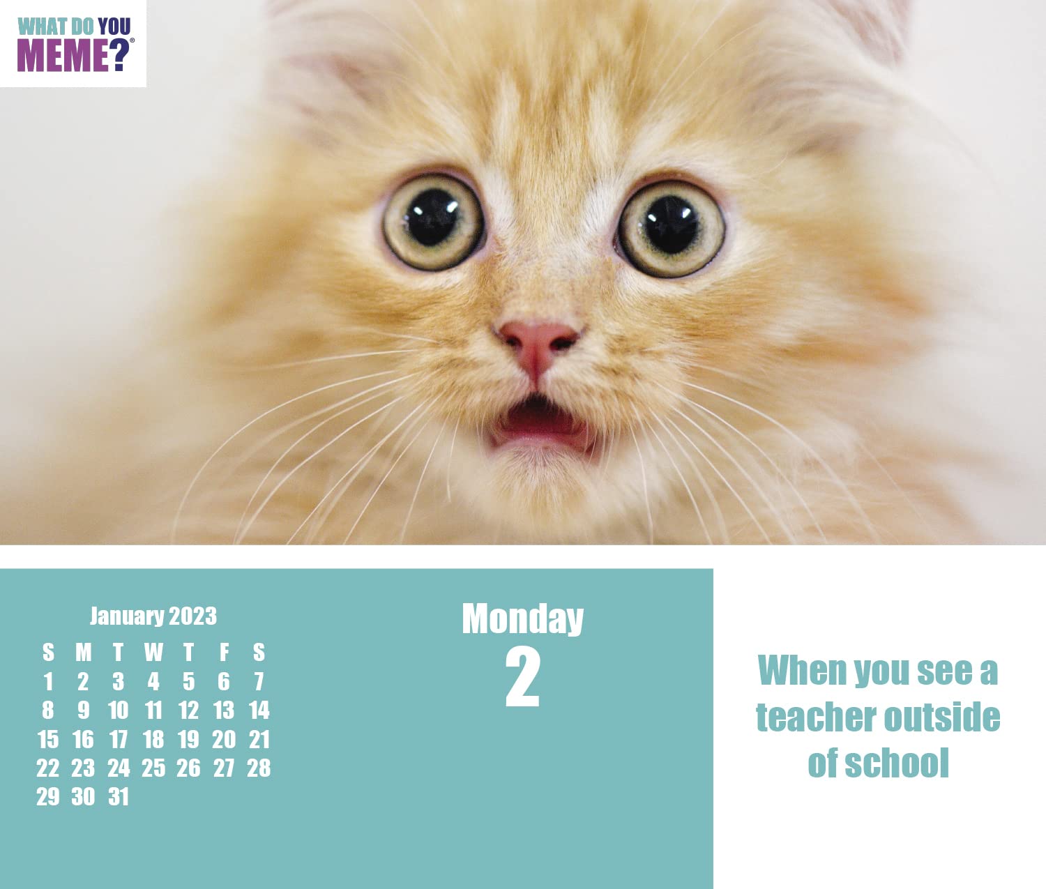 2023 What Do You Meme? Day-at-a-Time Box Calendar