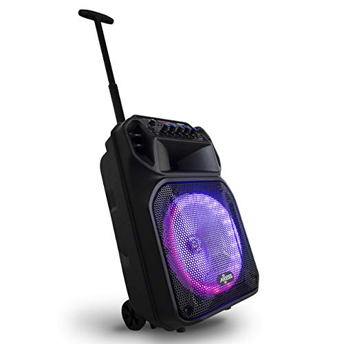 Axess Portable Wireless Bluetooth Speaker — 8 Inch Woofer & 1.5" Tweeter, TWS Link+, Wireless Microphone FM Radio Aux USB and Mic Inputs, Stereo Sound System Speakers with LED Lights Model PABT6038