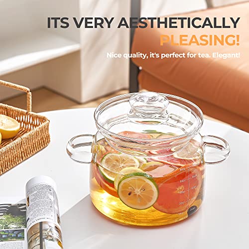 3-Quart Glass Stock Pot,Glass Pitcher,Stockpot, Stew Pot, Simmering Pot, Soup Pot with Lid, Dishwasher Safe
