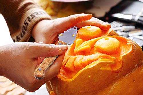 Antner Professional Pumpkin Carving Tool Kit 10 PCS Premium Stainless Steel Carving Tools for Easily Carve Sculpt Halloween Jack-O-Lanterns