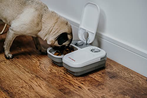 Cat Mate C200 2 Meal Automatic Pet Feeder for Cats and Small Dogs with Ice Pack