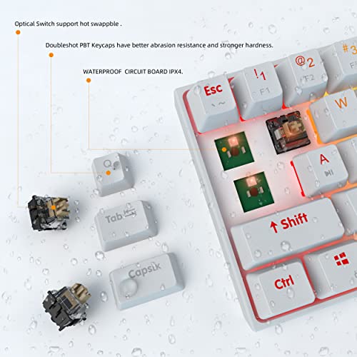 Ractous RTK63P 60% Mechanical Gaming Keyboard RGB Backlit PBT keycaps 63key Ultra-Compact Wired Keyboard Programmable for PC/Mac Gamers,Hot-Swappable Optical Blue Switch (White)