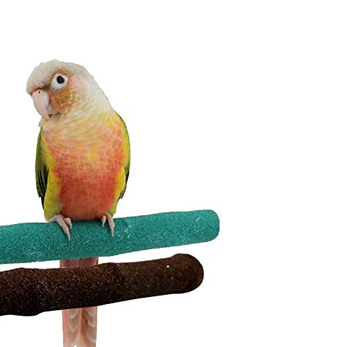 Borangs Parrot Perches Bird Stand Natural Wood Quartz Sand Branches Nail Perch for Small Medium Birds Cockatiel Cockatiel Parakeet Conure Cage Accessory Pack of 2 (Upgraded New Version 25cm/10)