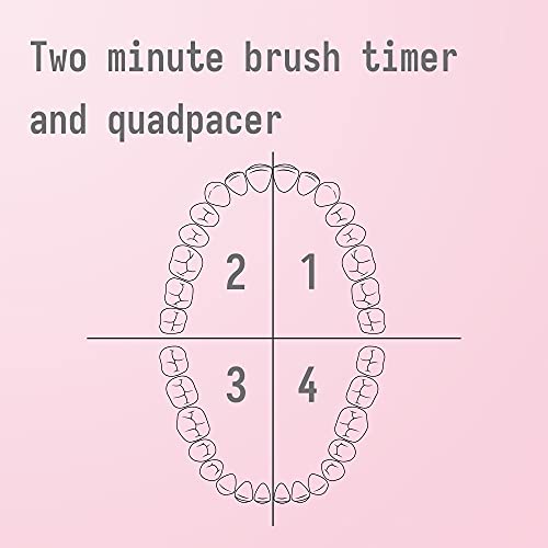 ObeOral Sonic Electric Toothbrush, 12 Modes Rechargeable Tooth Brush with 4 Dupont Bristles, Smart Timer, Whitening Electric Toothbrushes for Adults and Kids 8+, Light Pink