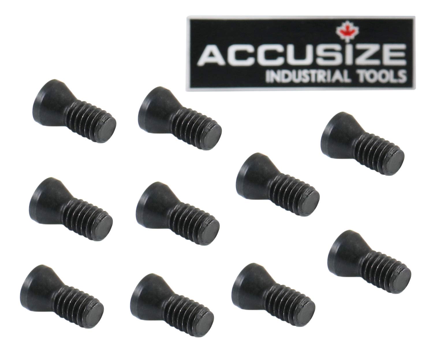Accusize Industrial Tools M2.5 by 6 Replacement Screws for Indexable Face Mill and End Mills, 10 Pc, 0046-0910x10
