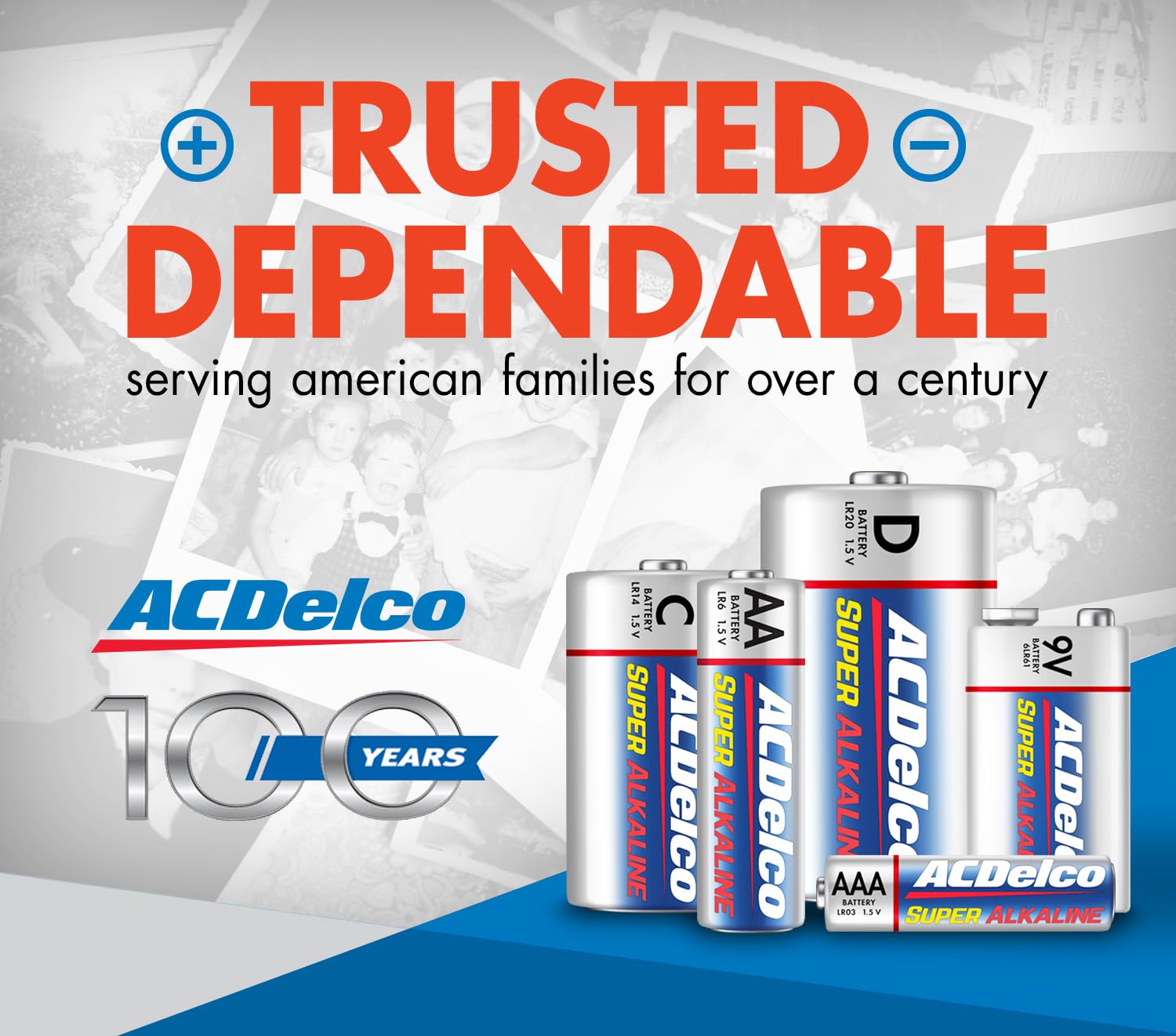 ACDelco 48-Count Triple AAA Batteries, Maximum Power Super Alkaline Battery, 10-Year Shelf Life