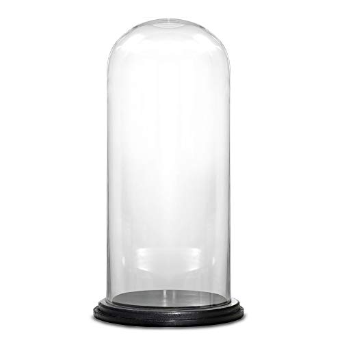 CYS EXCEL Glass Dome Cloche with Black Wood Base (H:14.7" D:7") | Multiple Sizes Decorative Showcase Display for Antique Collectibles | Bell Jar Terrarium & Dessert Cover