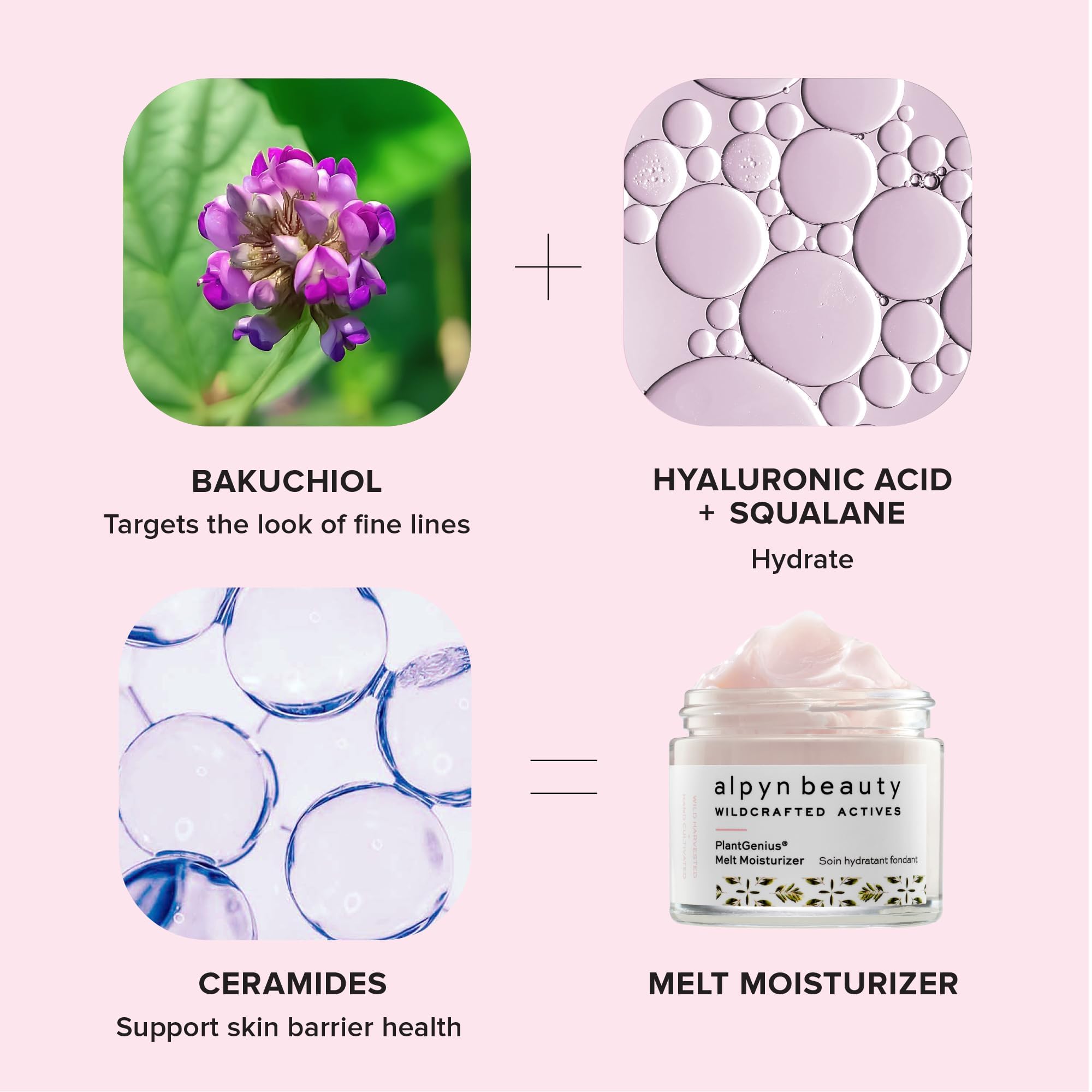 Alpyn PlantGenius Melt Moisturizer | Weightless Rich Cream Targeting Dry, Dehydrated Skin with Lasting Hydration and a Velvety, Makeup-Ready Finish | 1.7 oz / 50 ml