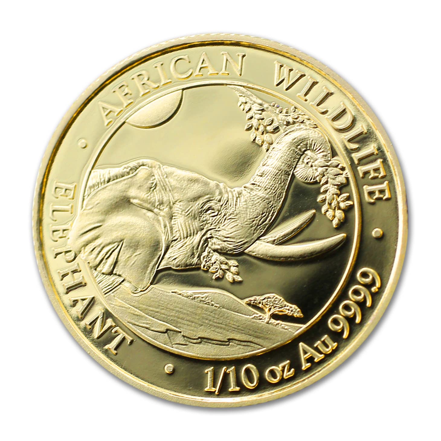 2023 1/10 oz Somalian Gold Elephant - African Wildlife Coin Brilliant Uncirculated 24K 100 Shillings BU