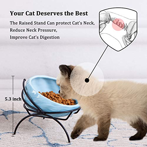 Jemirry Ceramic Elevated Cat Bowl Anti Vomiting, 15° Tilted Food and Water Cat Bowl Set, Raised Pet Bowl with Non-Slip Stand for Cat and Dog, Protect Pet's Spine, Microwave Dishwasher Safe, Sky Blue