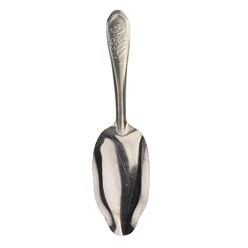 Baosity Bird Cockatiel Parrot Milk Steel Metal Feeding Feed Spoons