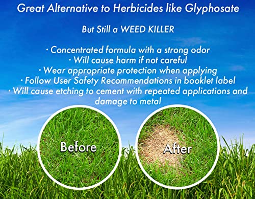 Energen Carolina LLC 578 Vinegar Weed & Grass Killer Approved for Organic Production Pet Safe Glyphosate Free Herbicide, Gallon 1, Yellow