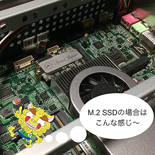 Sirius SSD 1TB M.2 2242 DSDM4-1T