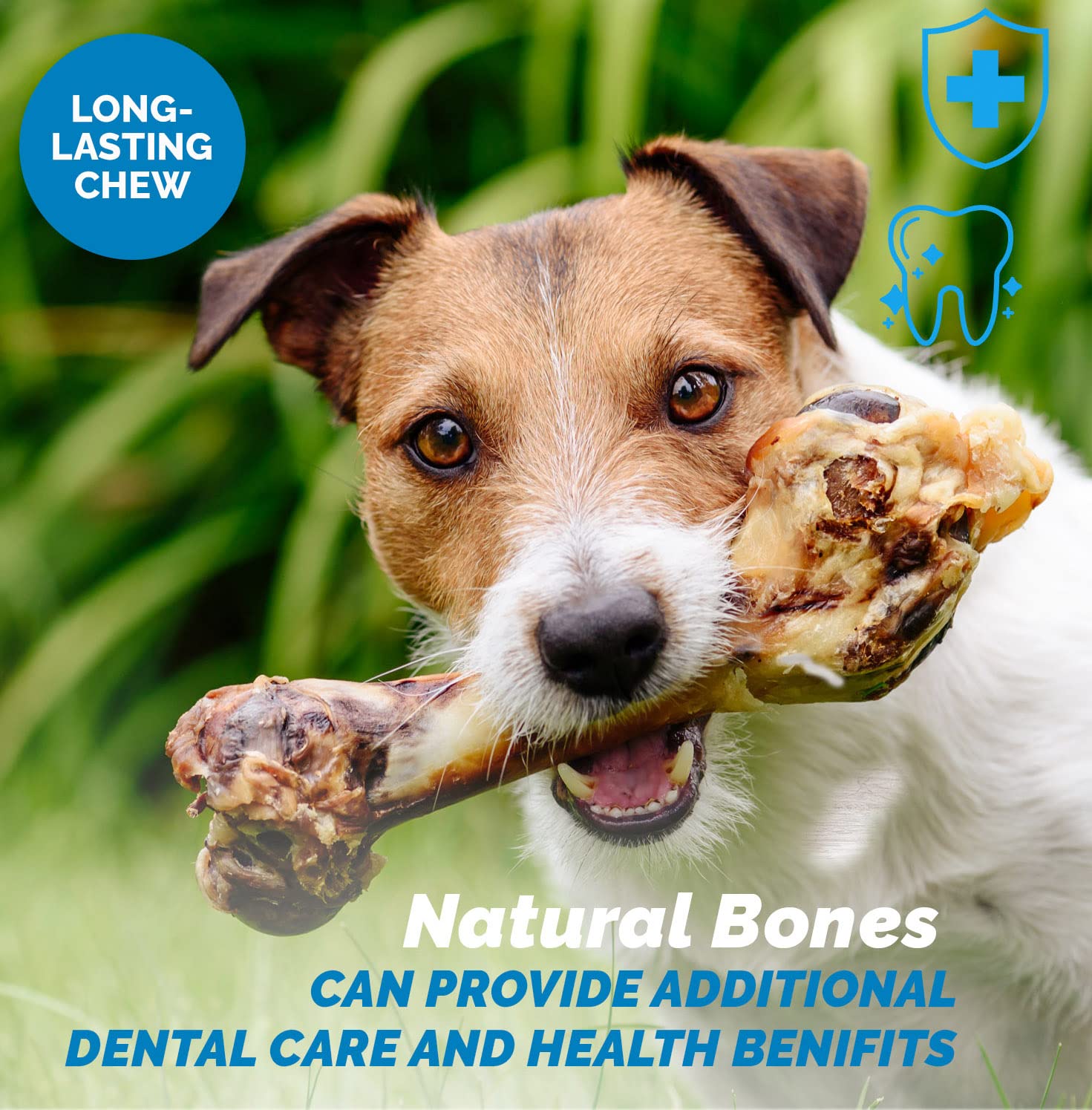 123 Treats - Meaty Dog Bone Treat - Large 100% Natural Pork Chews for Dogs Dog Bones for Aggressive Chewers (Pork, 2 Count)
