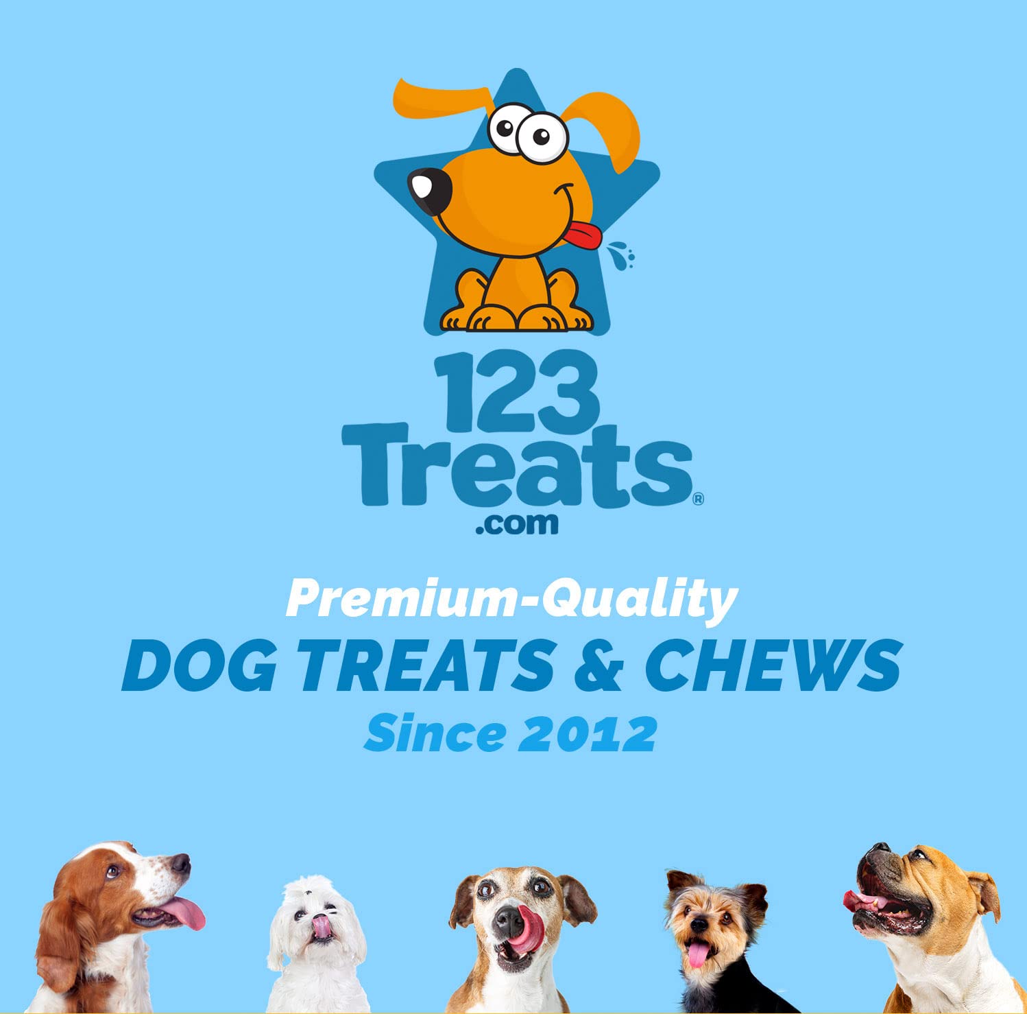 123 Treats - Ox Tail for Dogs 5-6" - (25 Count) | 100% Natural Dog Chews from Free Range Grass Fed Beef Bull Tail